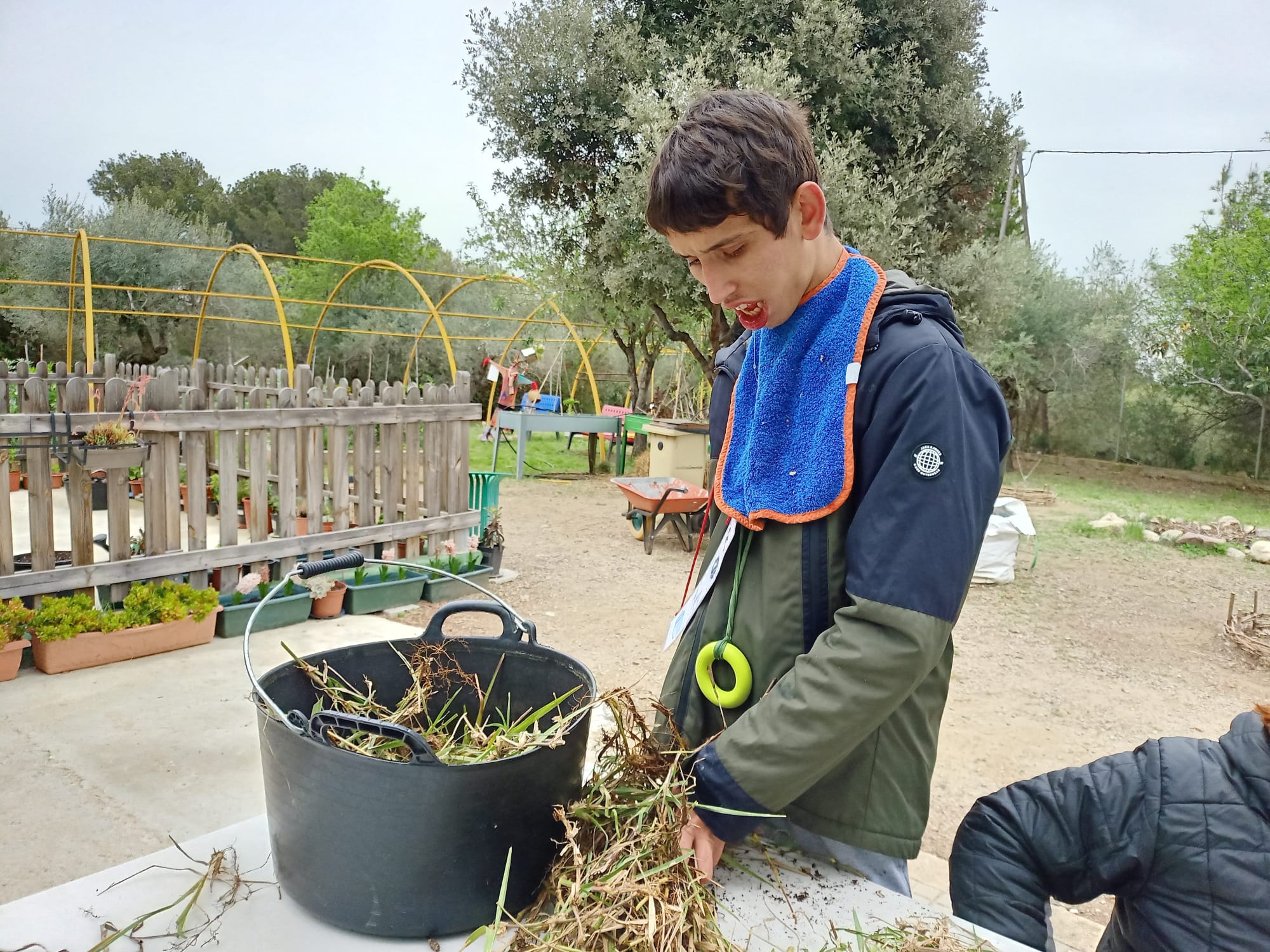 Replantem el nostre jardí | CEE Alba | Dipta