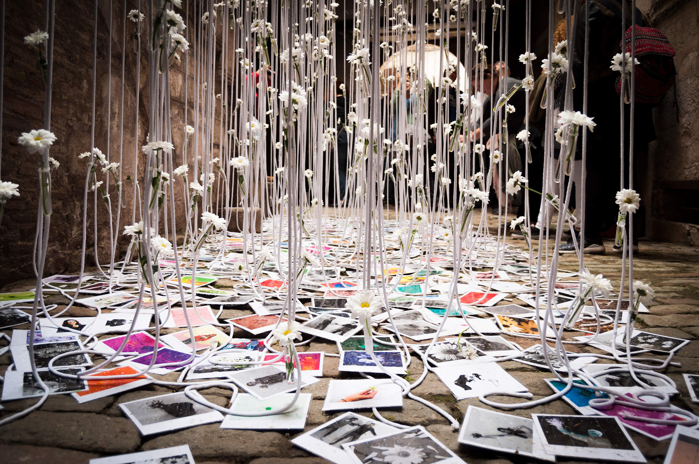 Arquitectura efímera (AE) | EADR | Dipta